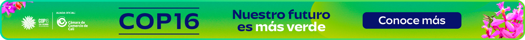 Cámara de Comercio de Cali | La CCC